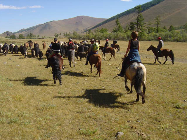 Algérie- Randonnée à cheval à Blida en août - Vinyculture