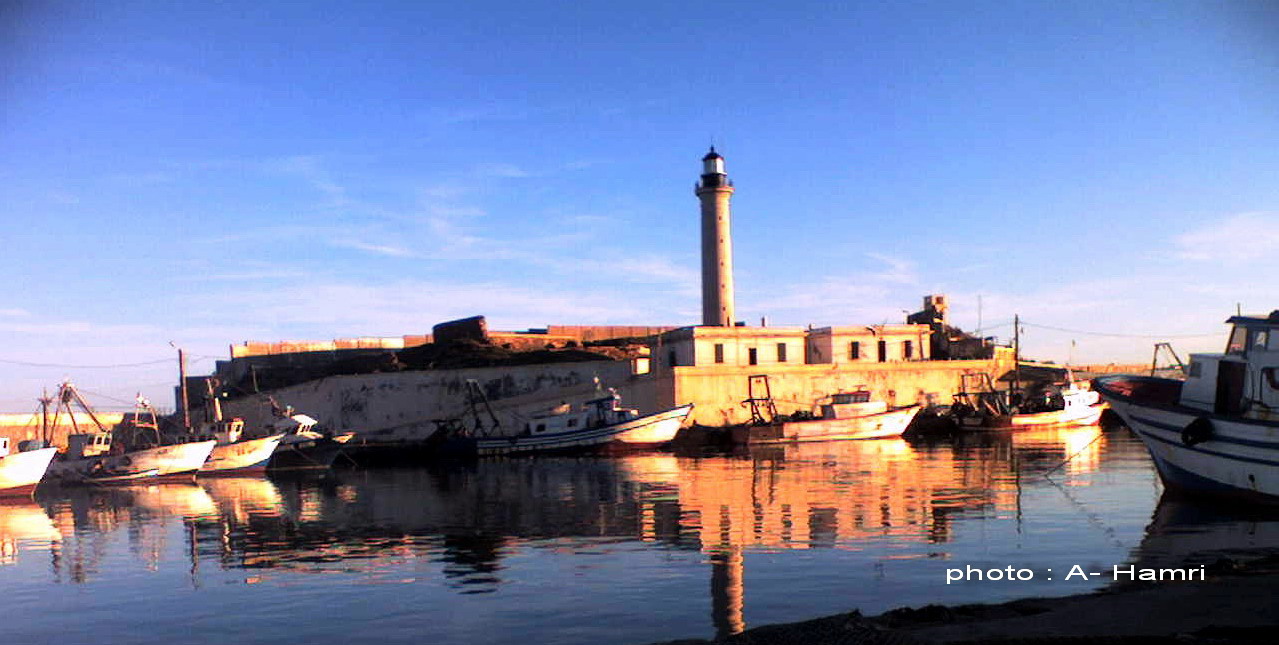 Alger - Sortie photographique vers Cherchell - Vinyculture