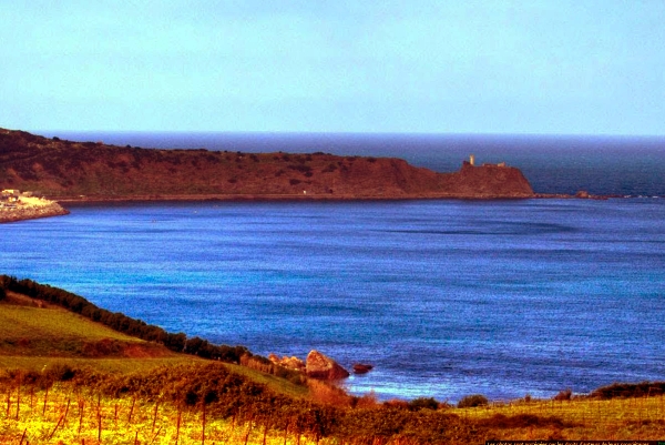 Alger- Sortie photo vers Dellys le 27 mai 2016 - Vinyculture