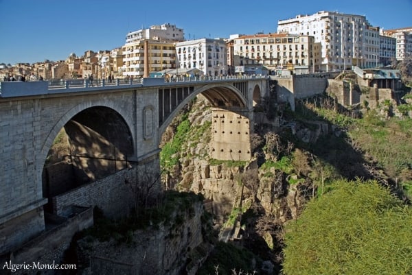 Sortie photo autour de l'héritage culturel de Constantine - Vinyculture
