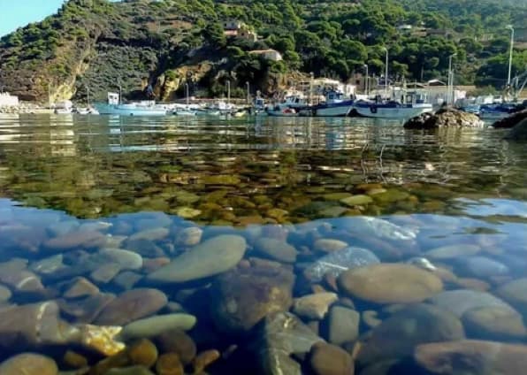 Beni Haoua - Randonnée et pique-nique le 8 septembre - Vinyculture
